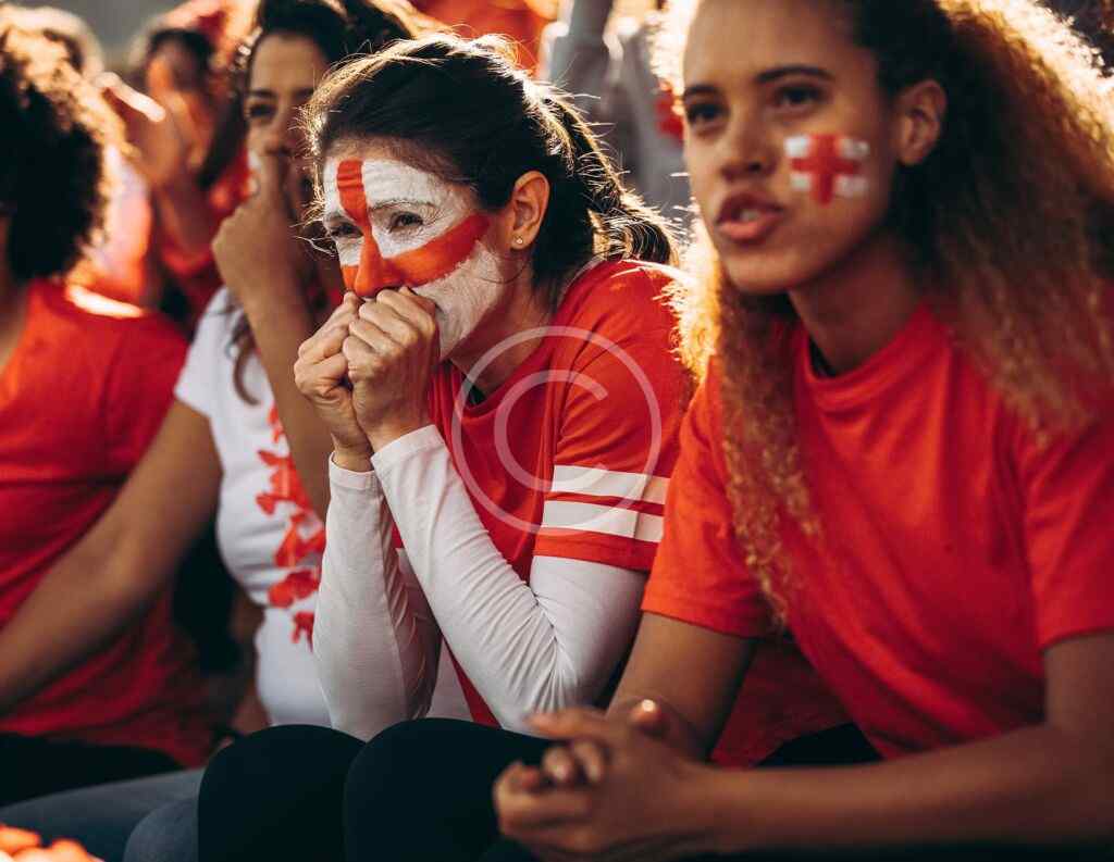 The power of loyalty: fans and their soccer clubs – premierPulse